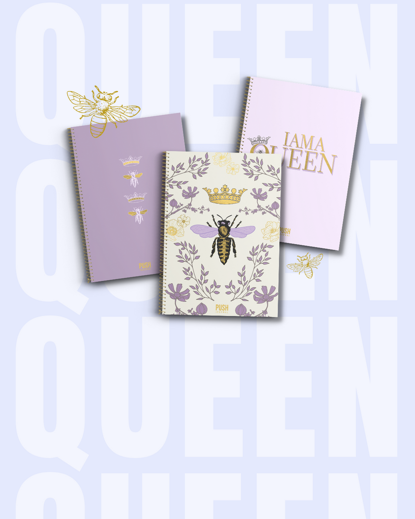 The PUSH Journal: an All-In-One life planner and much more... – Chalene ...