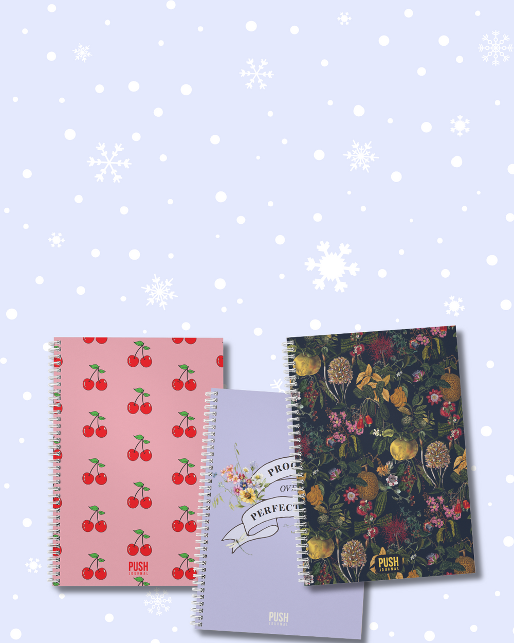 The PUSH Journal: an All-In-One life planner and much more... – Chalene Johnson